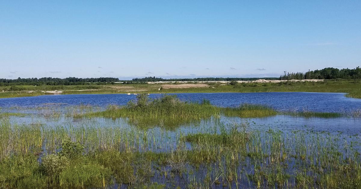 Quarry restoration | Carmeuse