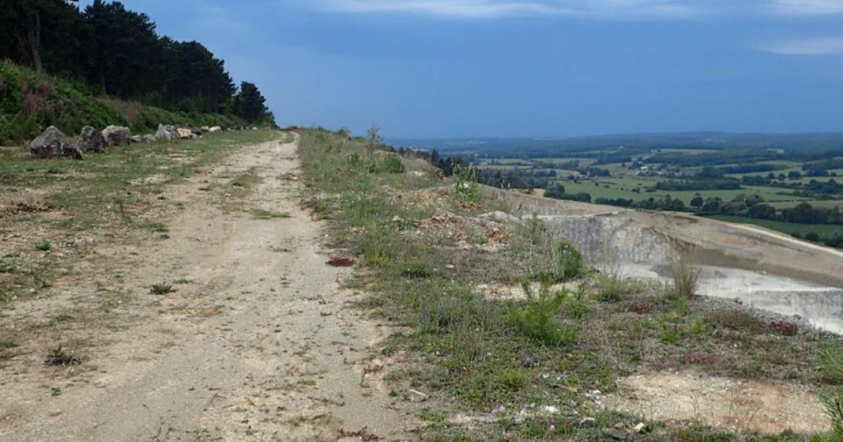 6 years of Life In Quarries project | Carmeuse