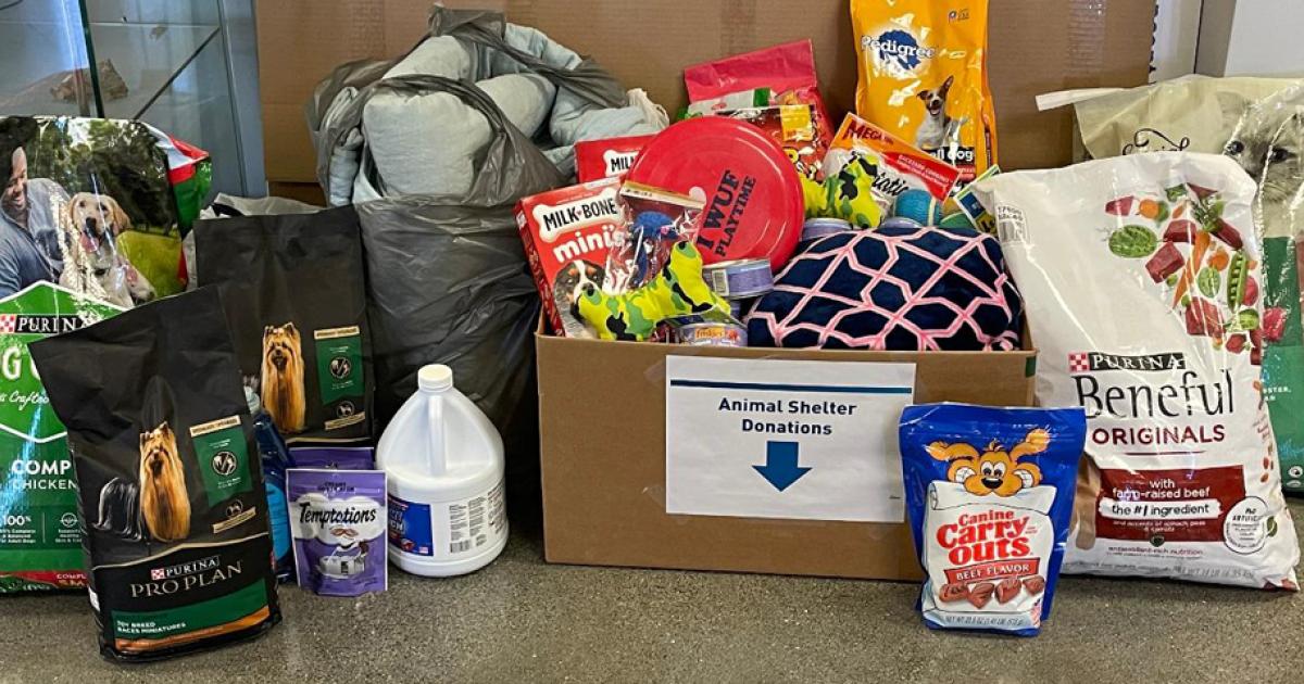 Animals receive TLC from Winchester employees | Carmeuse