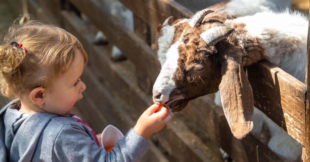 Winchester is a “Grand Champion” winner and supporter of Frederick ...