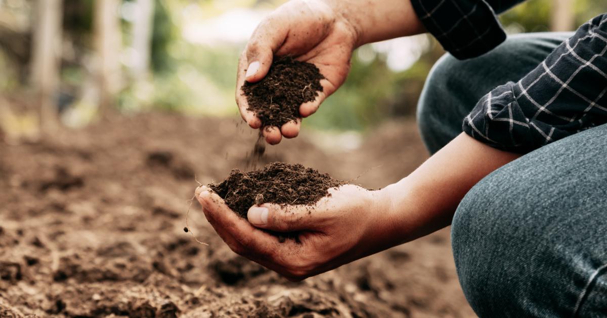Explore our Sustainable Soil Treatment Solutions | Carmeuse