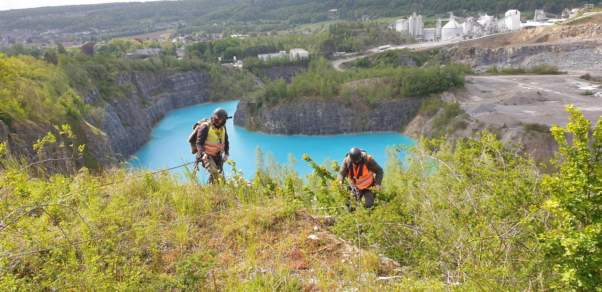 Carmeuse and the Royal Institute of Natural Sciences: 30 years of ...