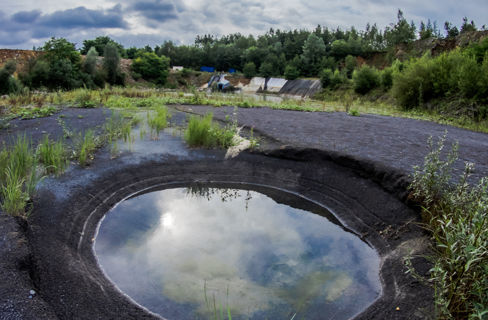 6 years of Life In Quarries project | Carmeuse